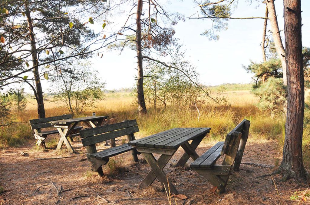 Wandelroute Antwerpen Kalmthoutse heide - Wandelpunt